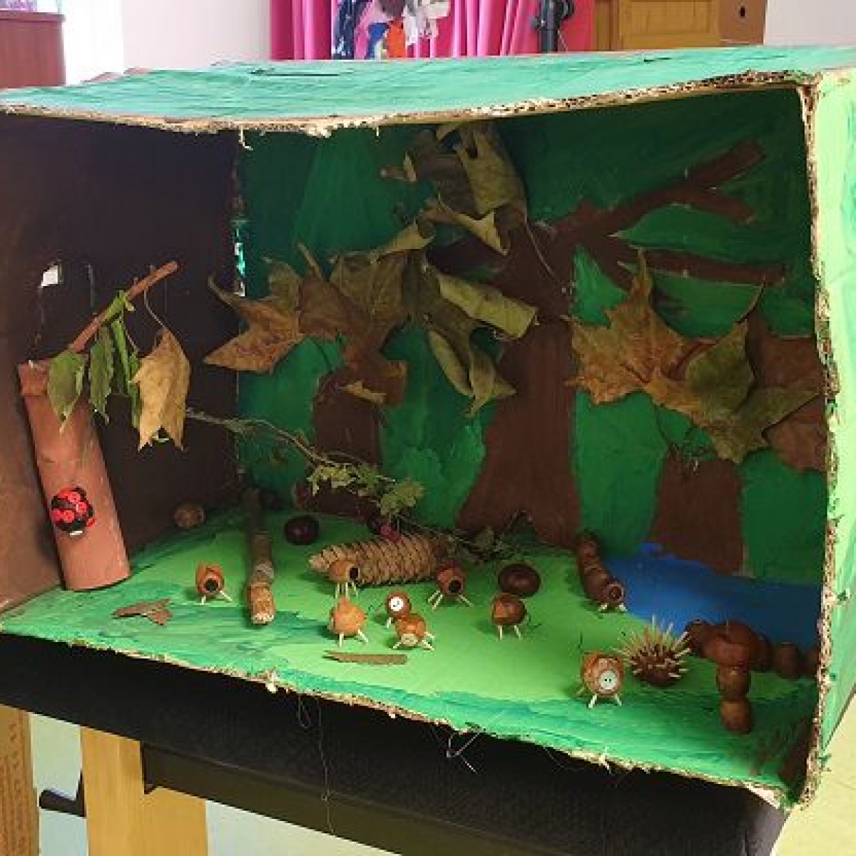 Projektarbeit Zum Thema Wald